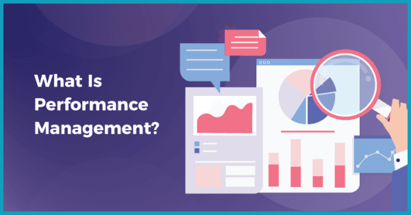 12 Reasons Why Performance Management is Important in an Organization ...